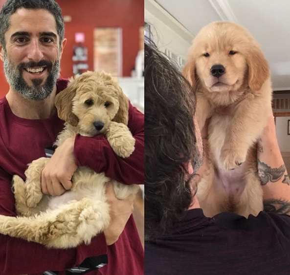 Marcos Mion enfrenta burocracia para trazer filha dos Estados Unidos ao ...