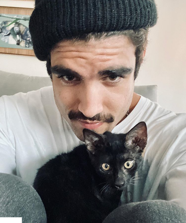 Caio Castro surge com gato de Grazi Massafera e nem esconde mais; veja ...